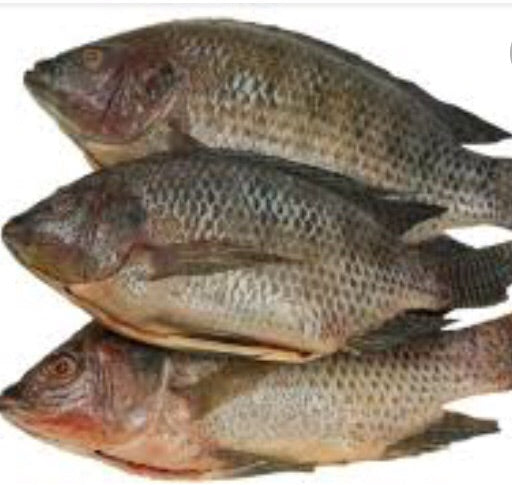 Fresh Bream Fish – The Lusaka Grocery Delivery Company